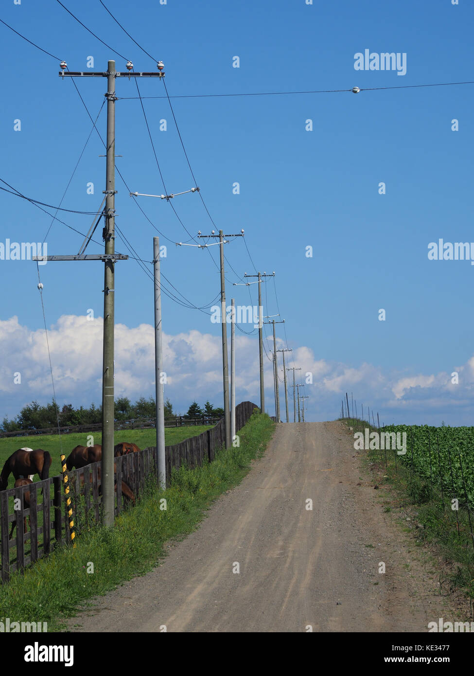 Christian rode hi-res stock photography and images - Alamy