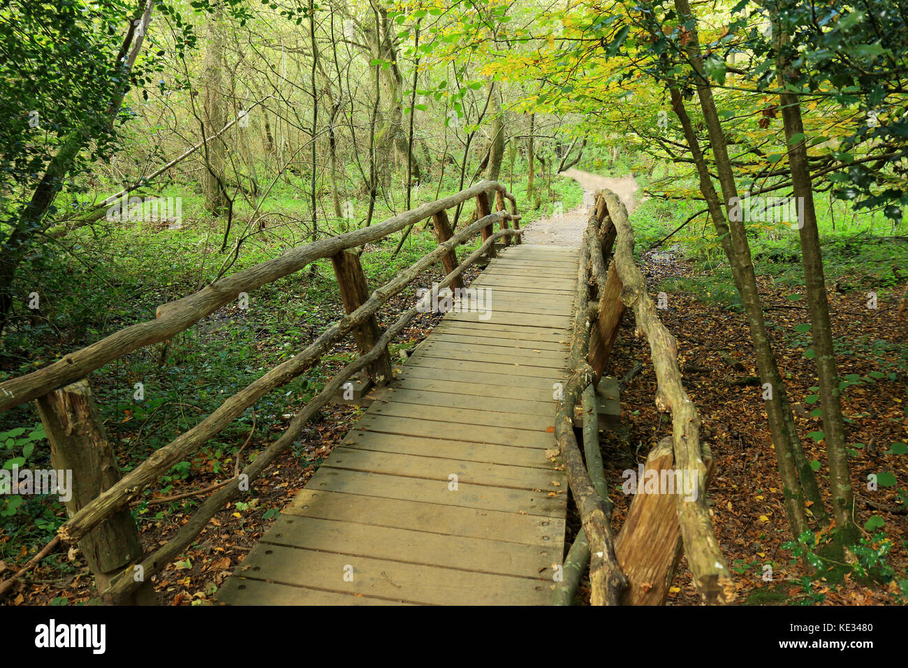 A countryside scene with a wooden bridge Stock Photo - Alamy