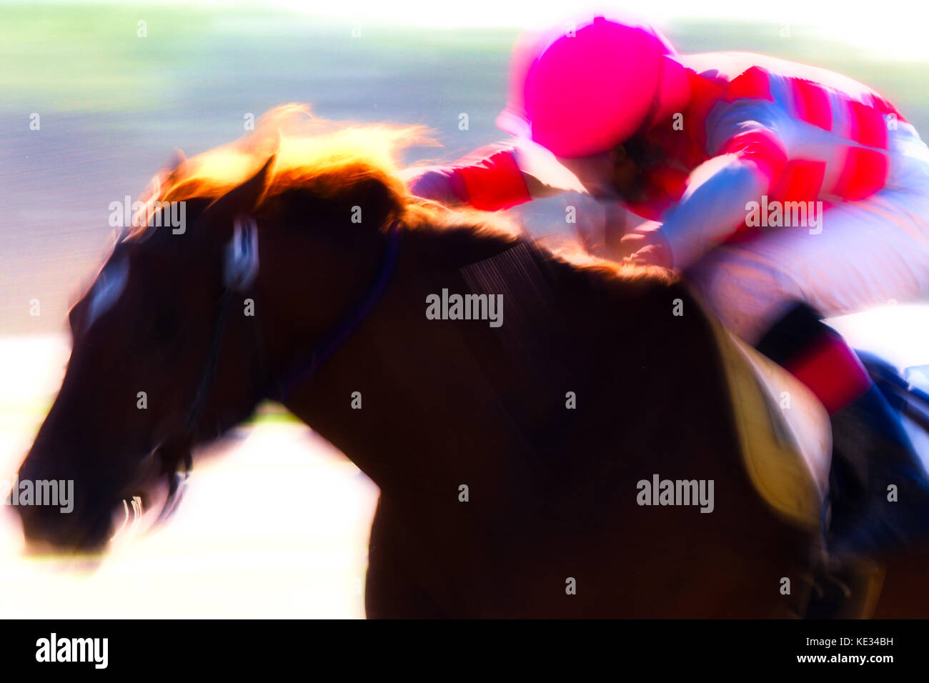 Horse jockey front view hi-res stock photography and images - Alamy