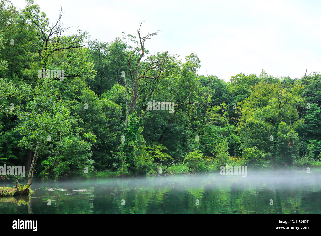 Scenery in Hokkaido, Japan Stock Photo - Alamy