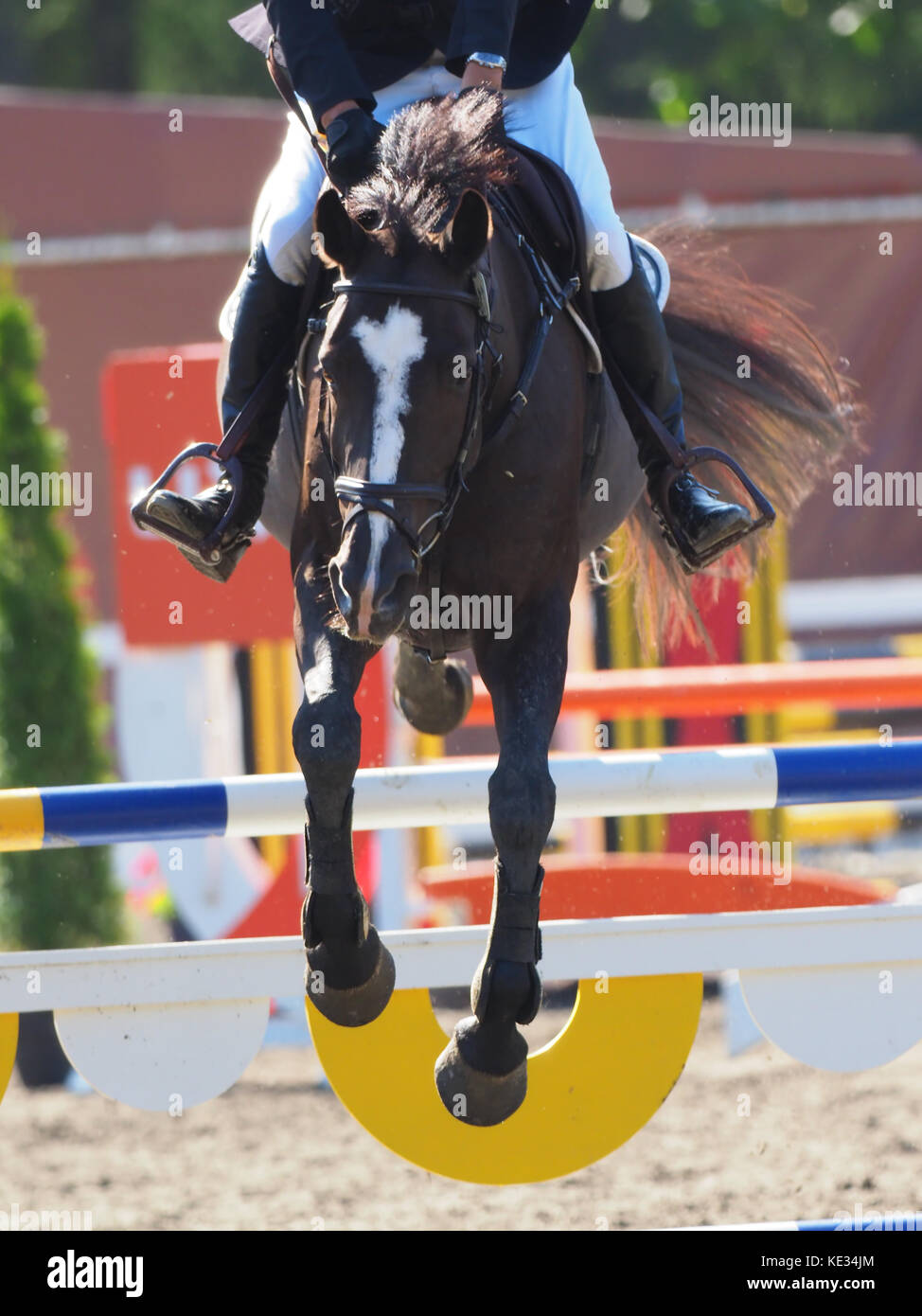 Equestrian industry hi-res stock photography and images - Alamy