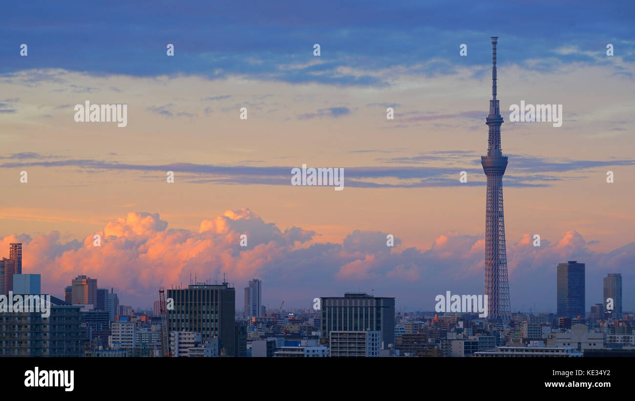 Tokyo Sky Tree at Sunset Stock Photo - Alamy