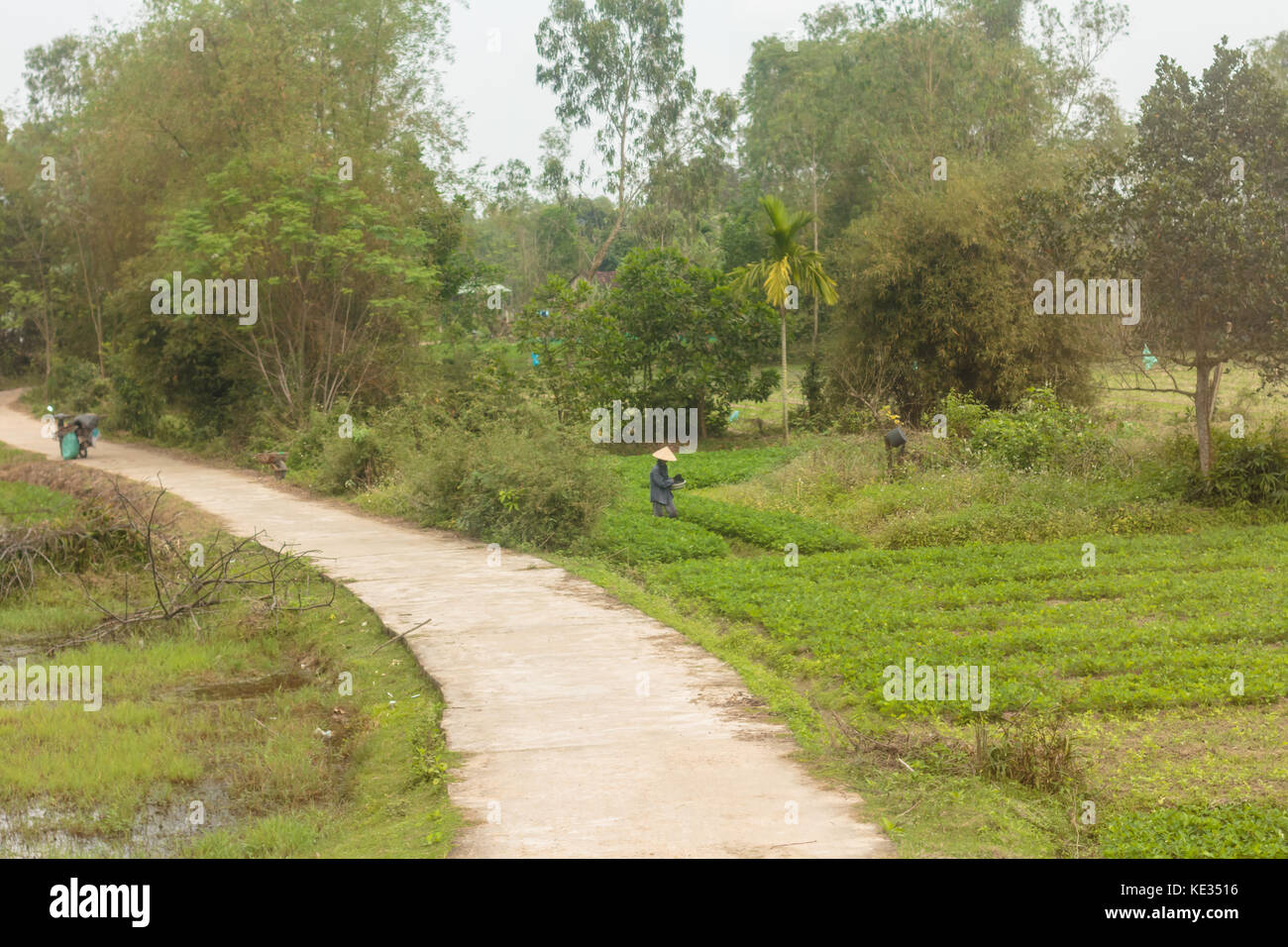 Local people's livelihood Stock Photo - Alamy