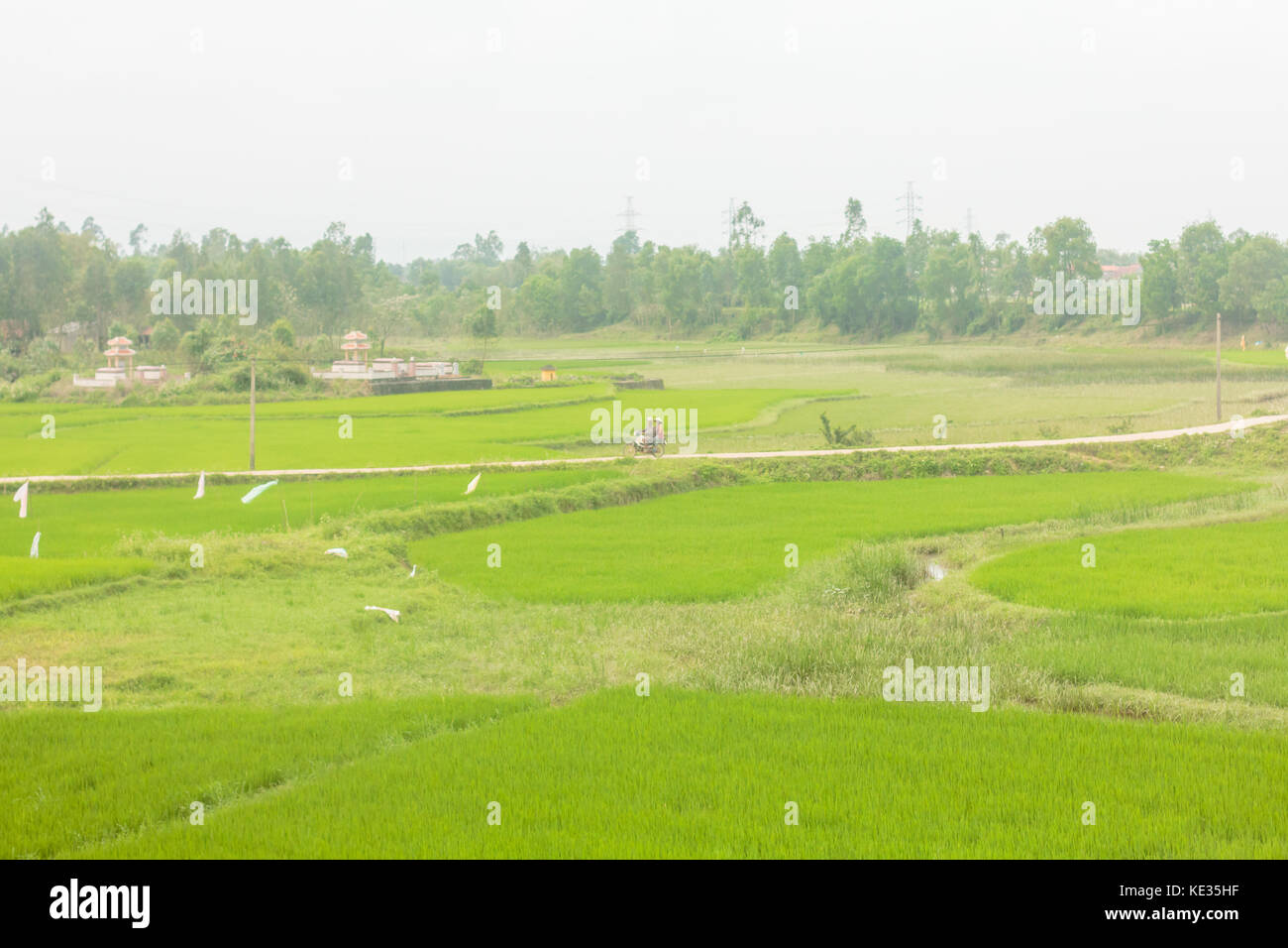 Train through field hi-res stock photography and images - Alamy