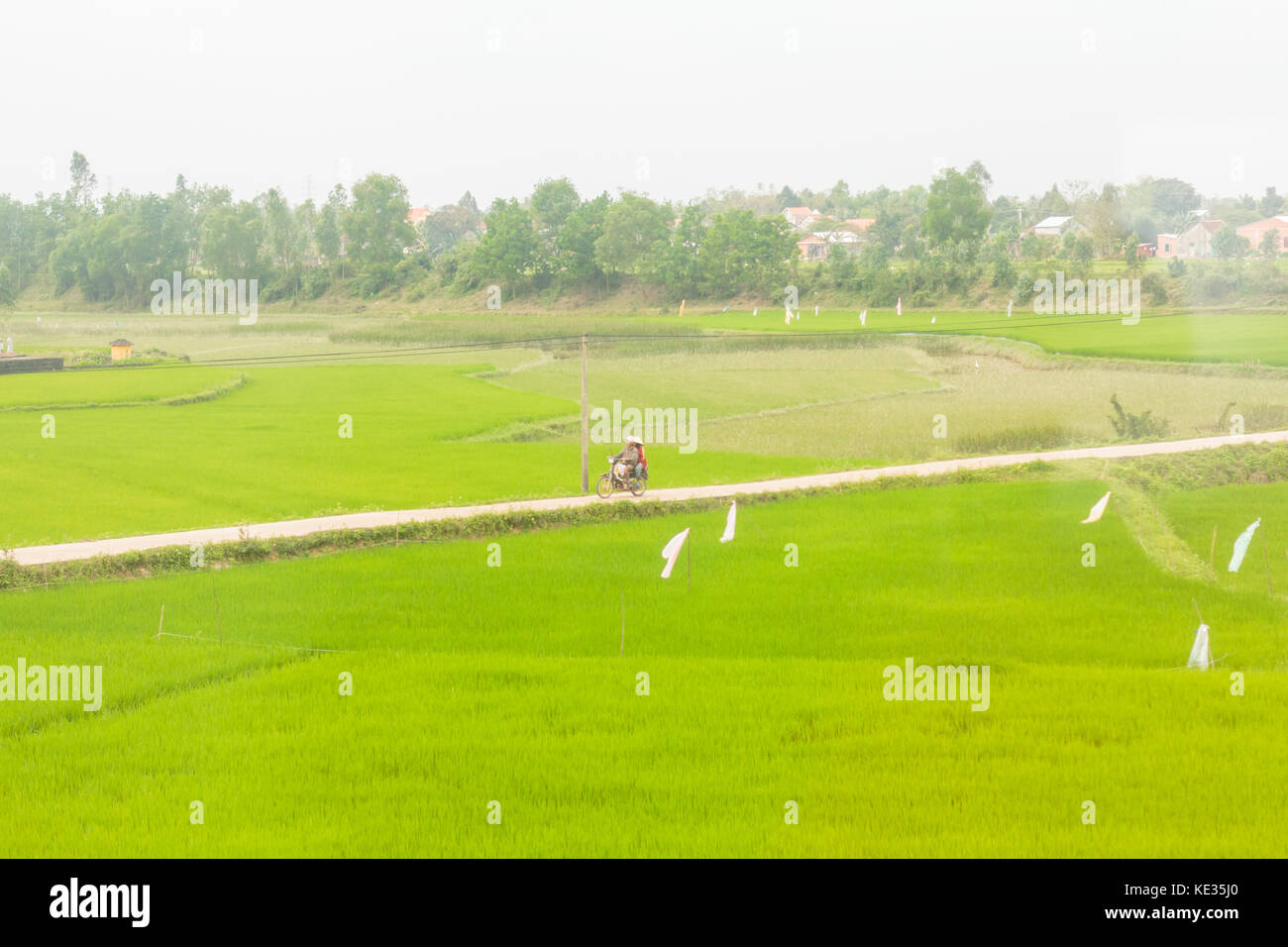 Vietnam photography hi-res stock photography and images - Alamy