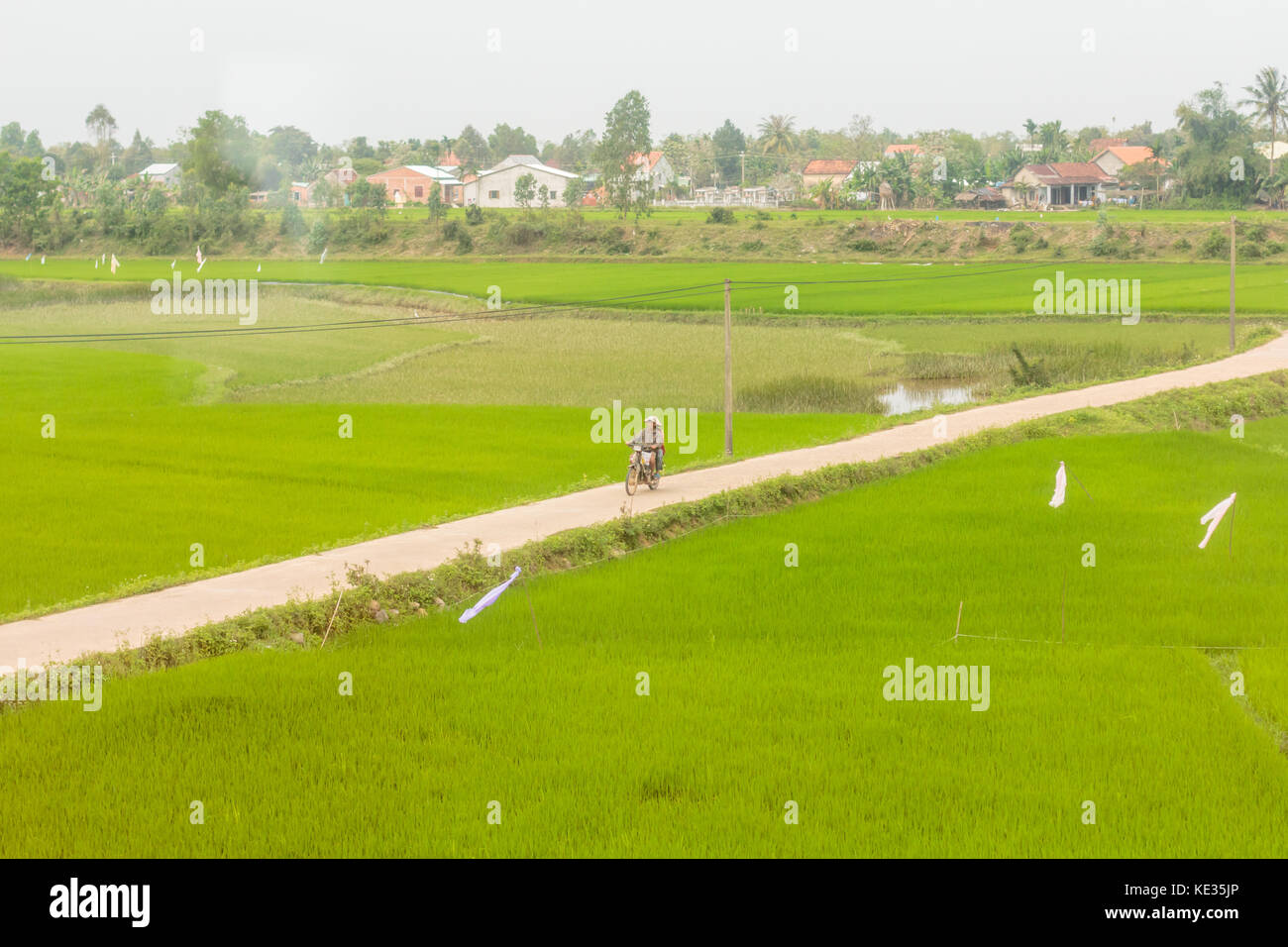 Train through field hi-res stock photography and images - Alamy