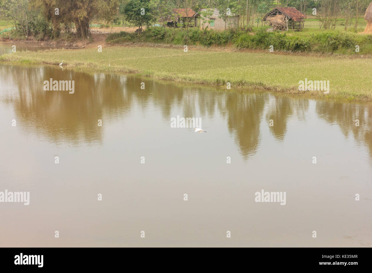 A migratory bird flies as the moving train passing by Stock Photo - Alamy