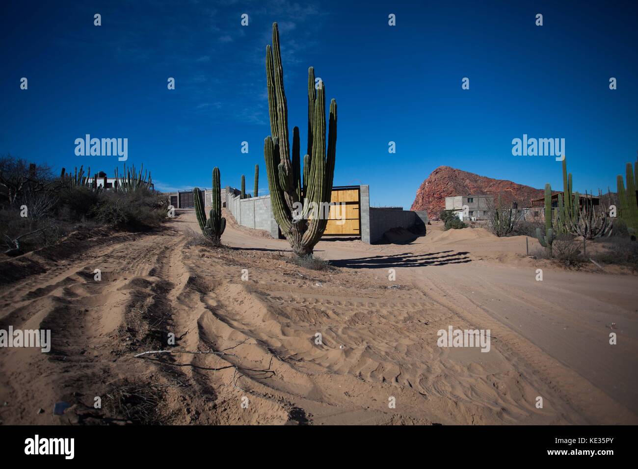 The Coloraro , a beach in the Sonoran Desert which is characterized by ...