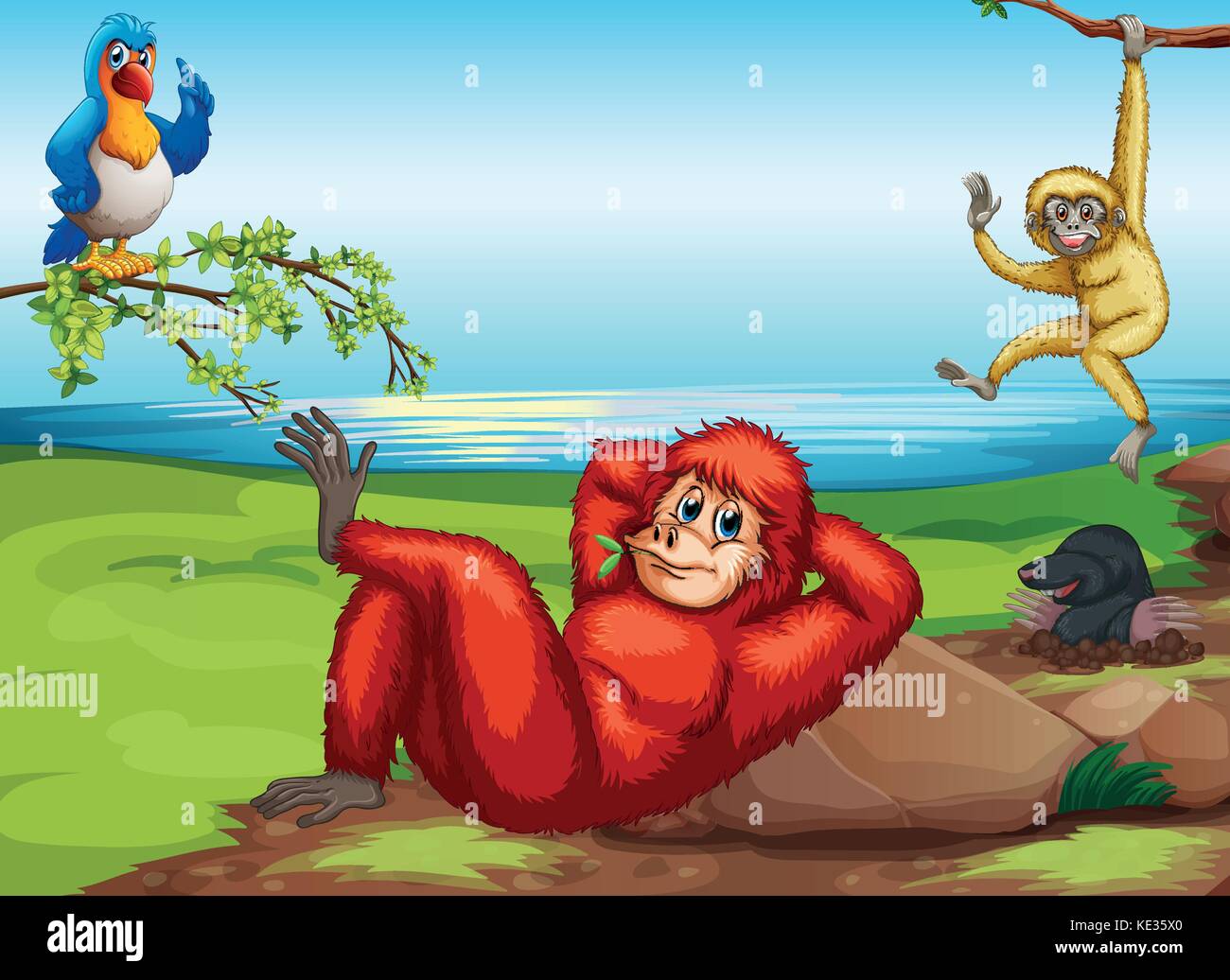 Wild animals by the lake illustration Stock Vector Image & Art - Alamy
