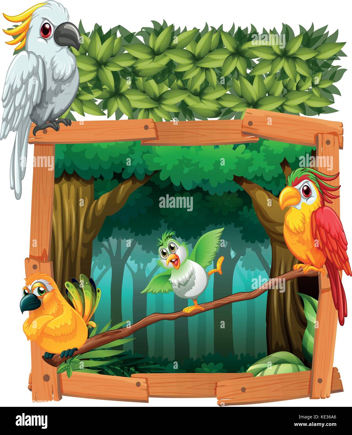 Four birds living in the jungle illustration Stock Vector Image & Art ...