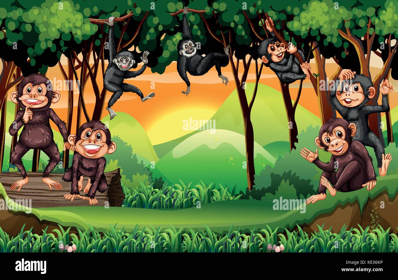 Monkeys climbing tree in the jungle illustration Stock Vector Image ...