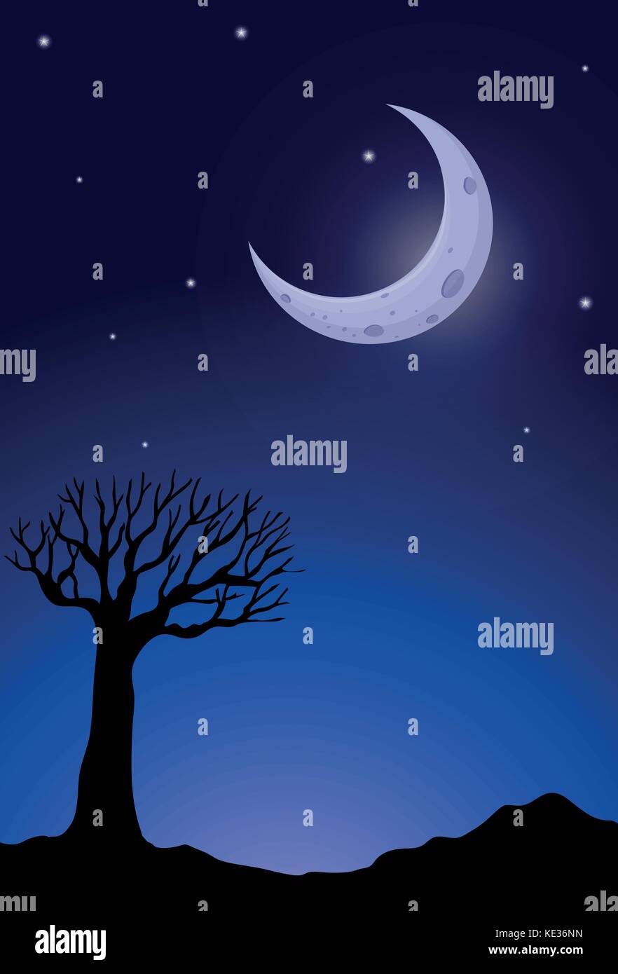 Silhouette tree at nighttime illustration Stock Vector Image & Art - Alamy