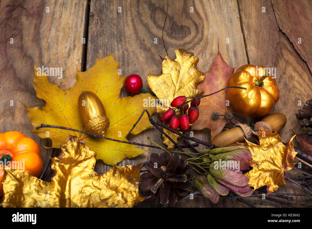 Thanksgiving background with golden pumpkin, acorn and maple leaves ...