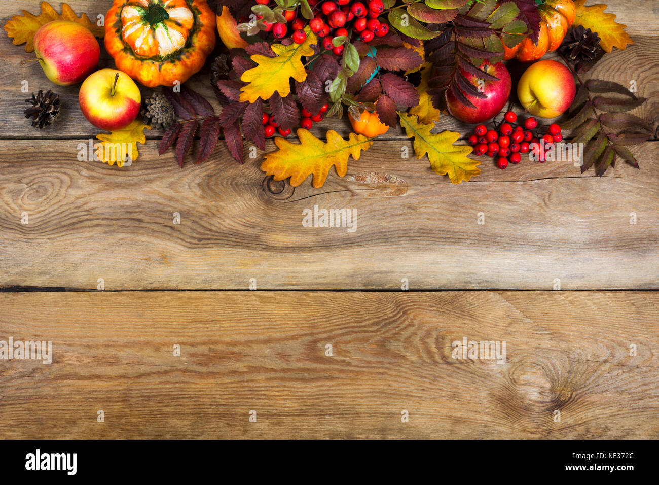 Fall rustic background with cones, apples, pumpkins, red rowan and ...