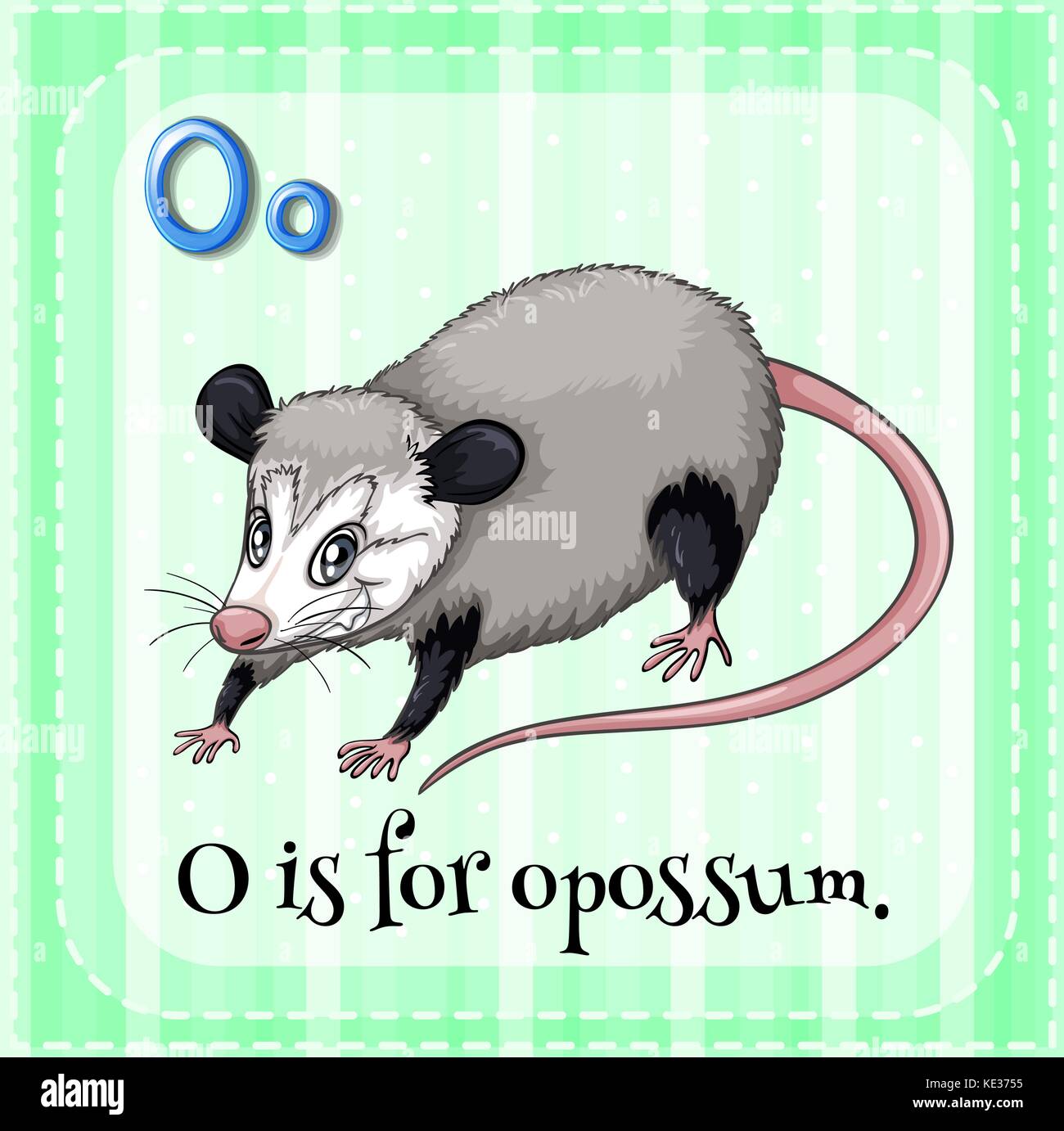 Opossum Illustration