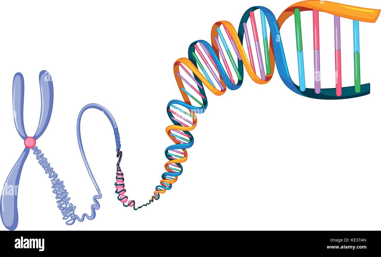 DNA symbol on white background illustration Stock Vector Image & Art ...