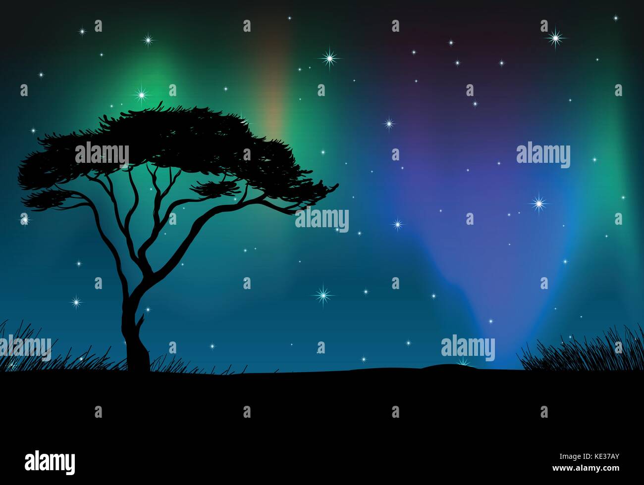 Silhouette field with aurora sky at night illustration Stock Vector ...