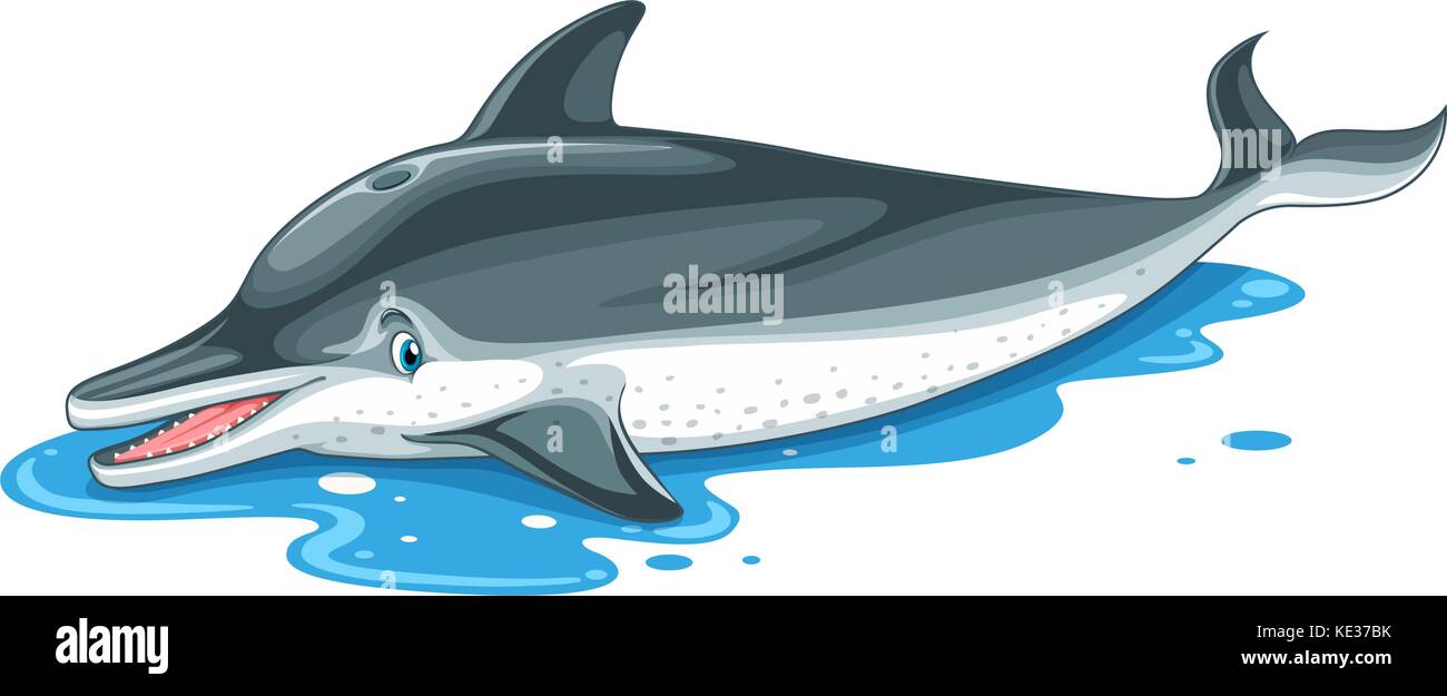 Dolphin face Stock Vector Images - Alamy