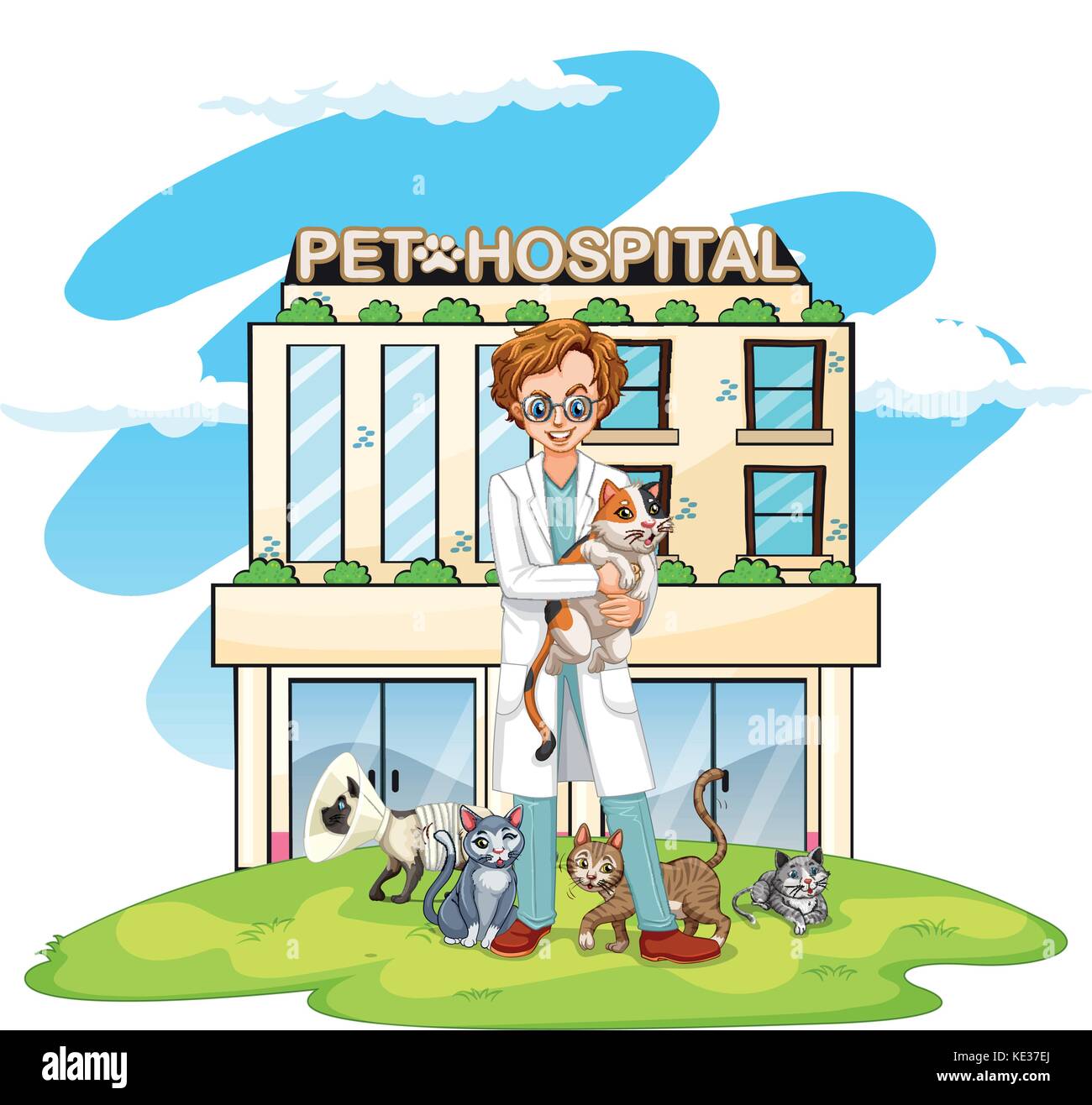 Vet and cats at pet hospital illustration Stock Vector Image & Art - Alamy