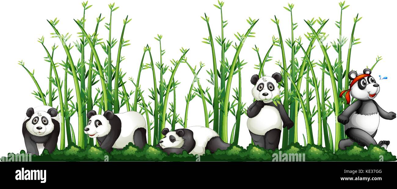 Digital panda illustration hi-res stock photography and images - Alamy