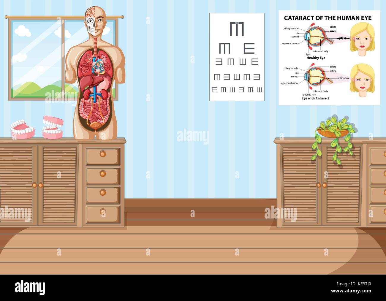 Room with human anatomy model illustration Stock Vector Image & Art - Alamy