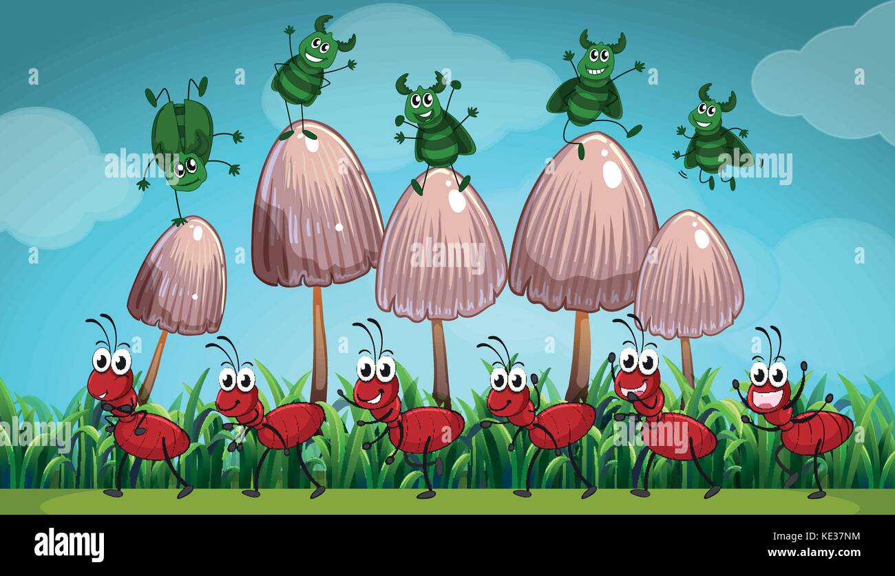 Field insects Stock Vector Images - Alamy