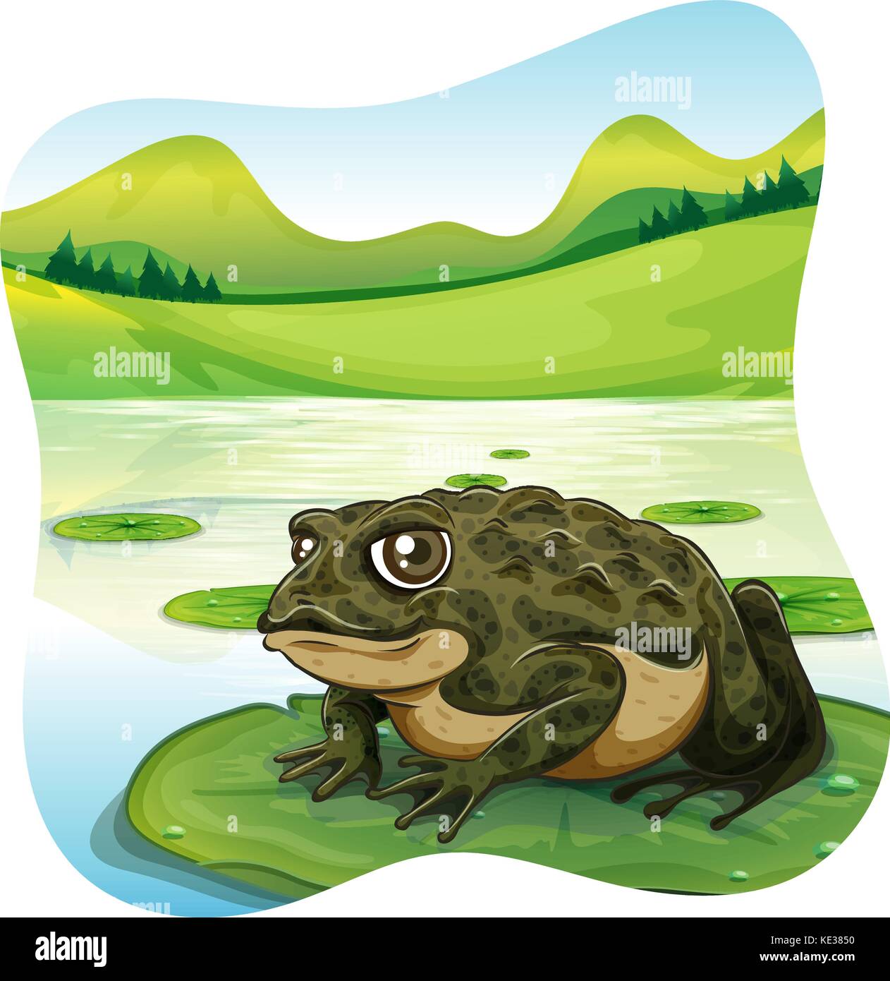 Green toad on water lily illustration Stock Vector Image & Art - Alamy
