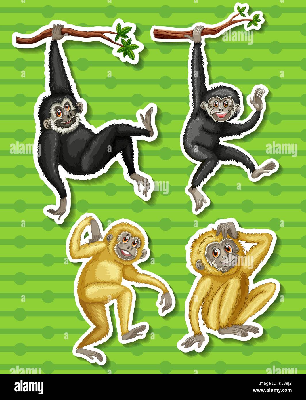 Gibbons in four different poses illustration Stock Vector Image & Art ...