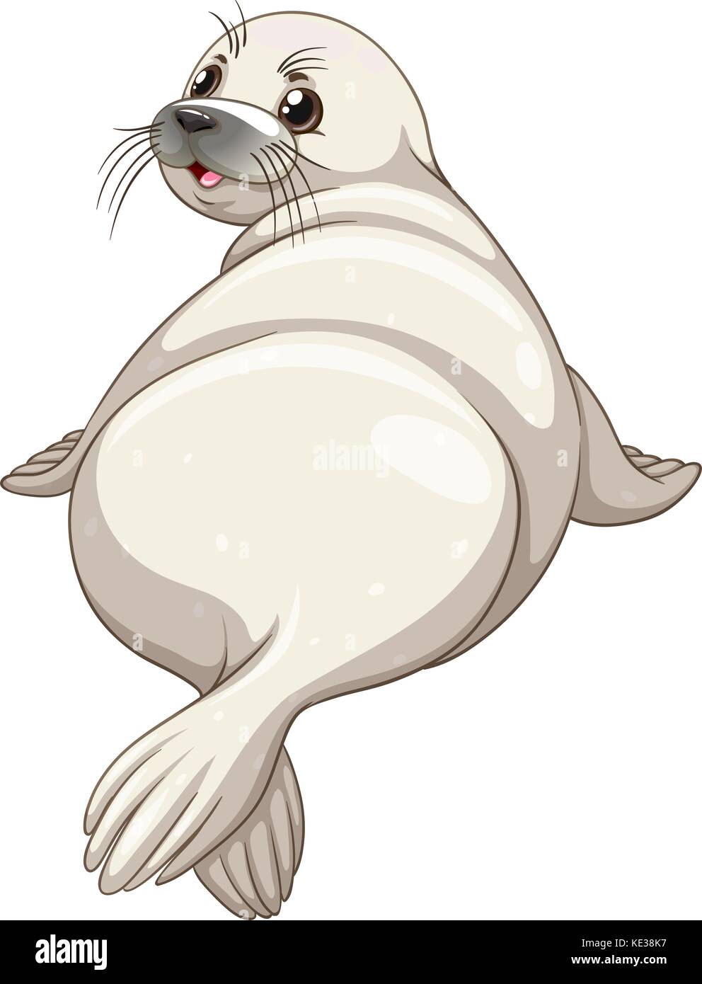 Back of cute seal illustration Stock Vector Image & Art - Alamy