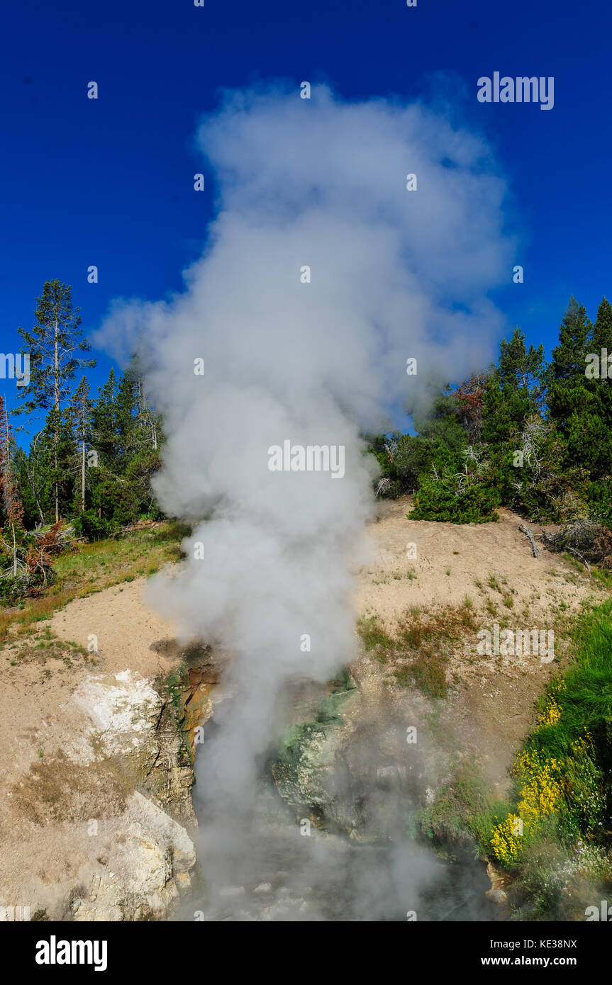 Geyser at Mud Volcano Stock Photo - Alamy