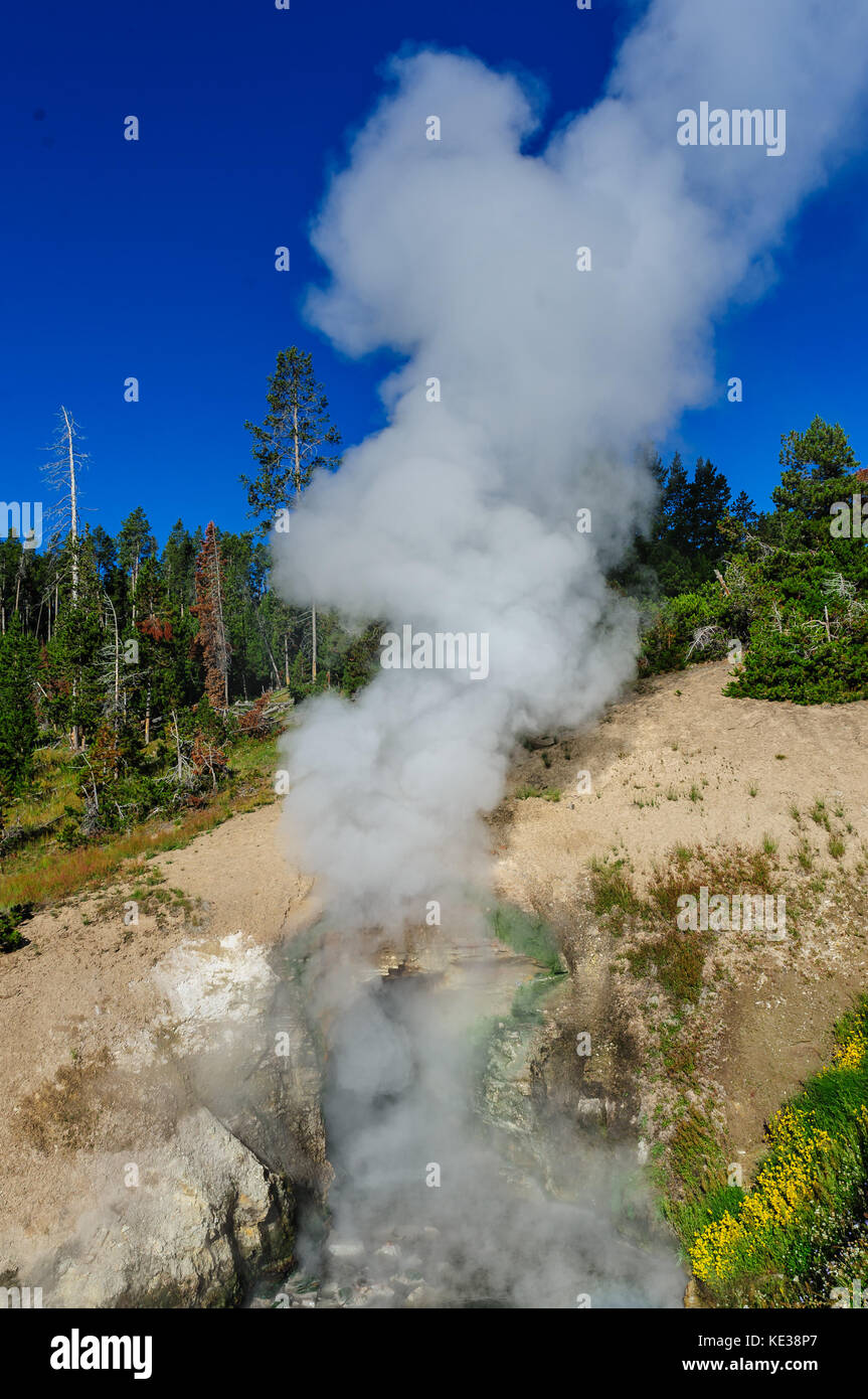 Geyser at Mud Volcano Stock Photo - Alamy
