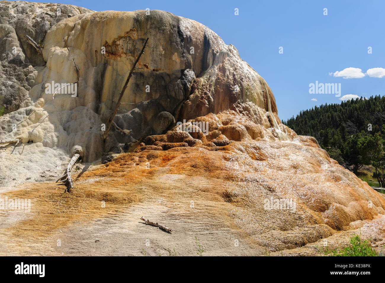 Orange Spring Mound Stock Photo - Alamy