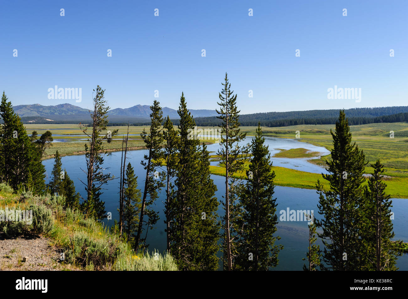 Hayden Valley in Yellowstone National Park Stock Photo - Alamy