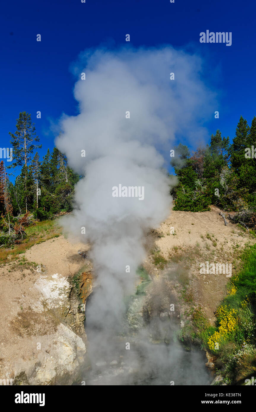 Geyser at Mud Volcano Stock Photo - Alamy