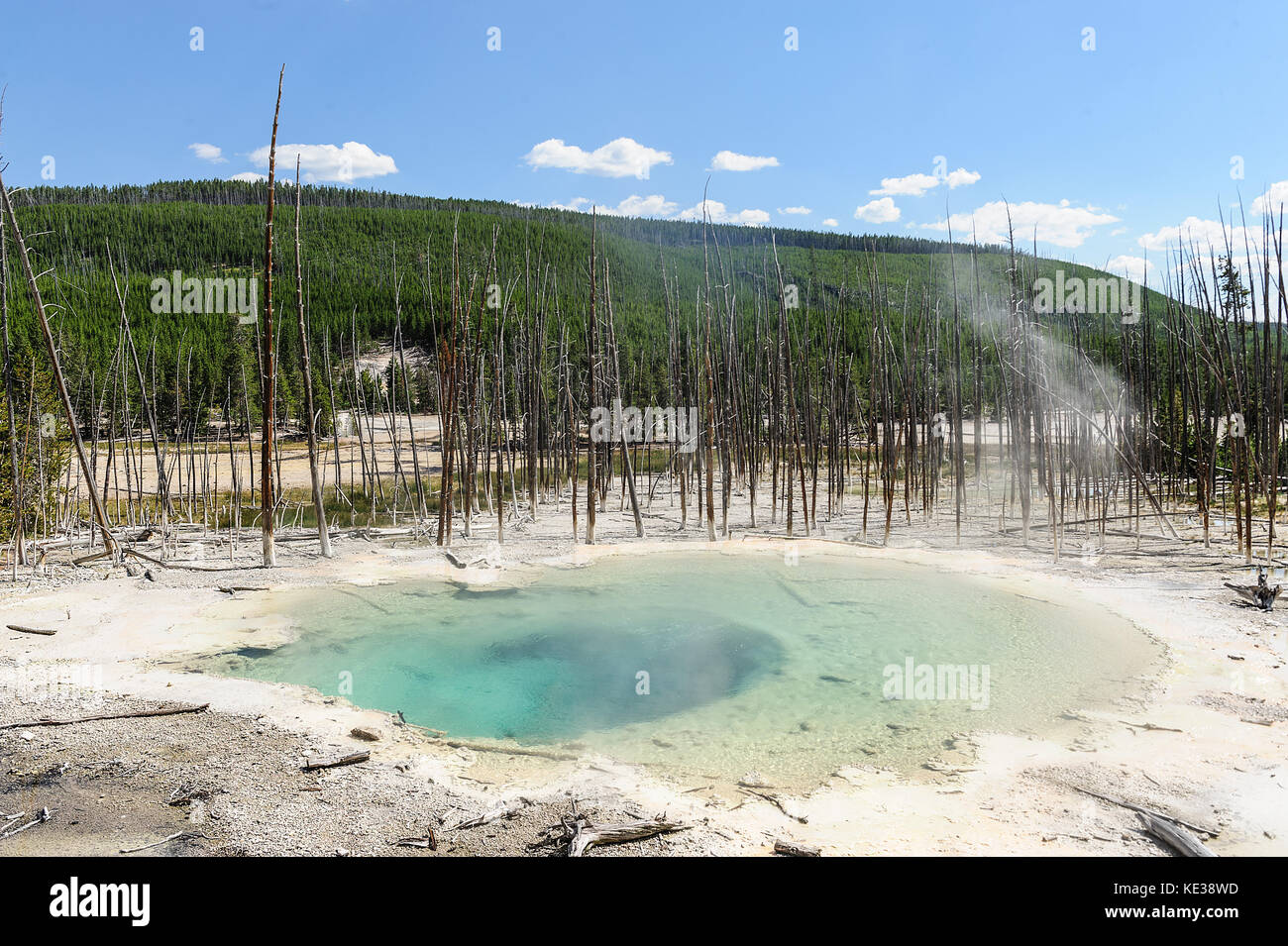 Norris Geyser Basin Stock Photo - Alamy