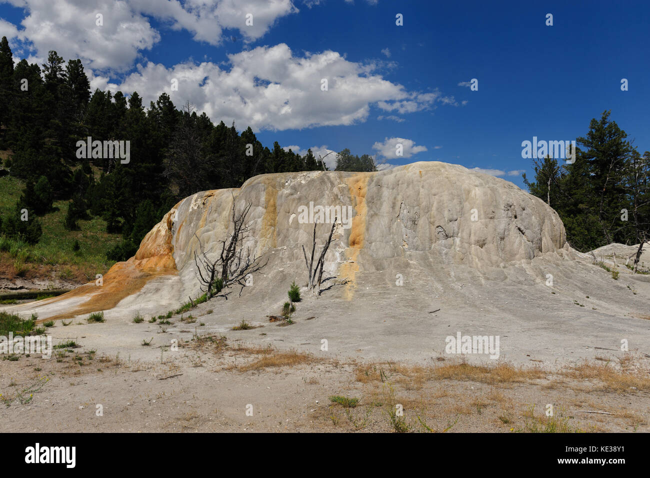 Orange Spring Mound Stock Photo - Alamy