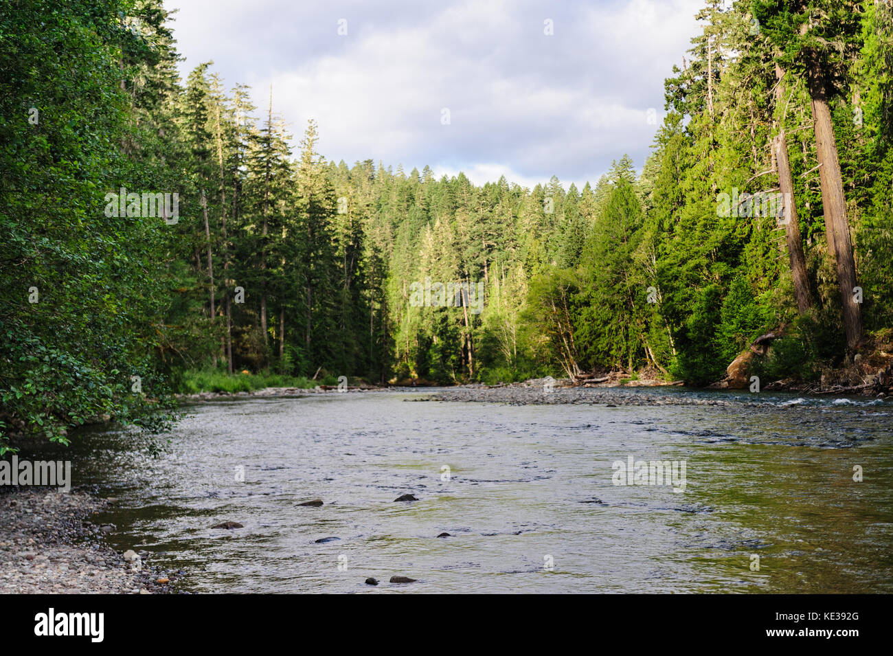 The Cowlitz River Stock Photo - Alamy