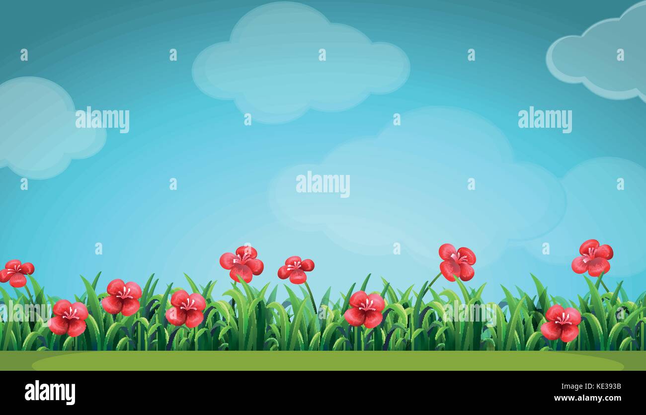 Scene with red flowers in the field illustration Stock Vector Image ...