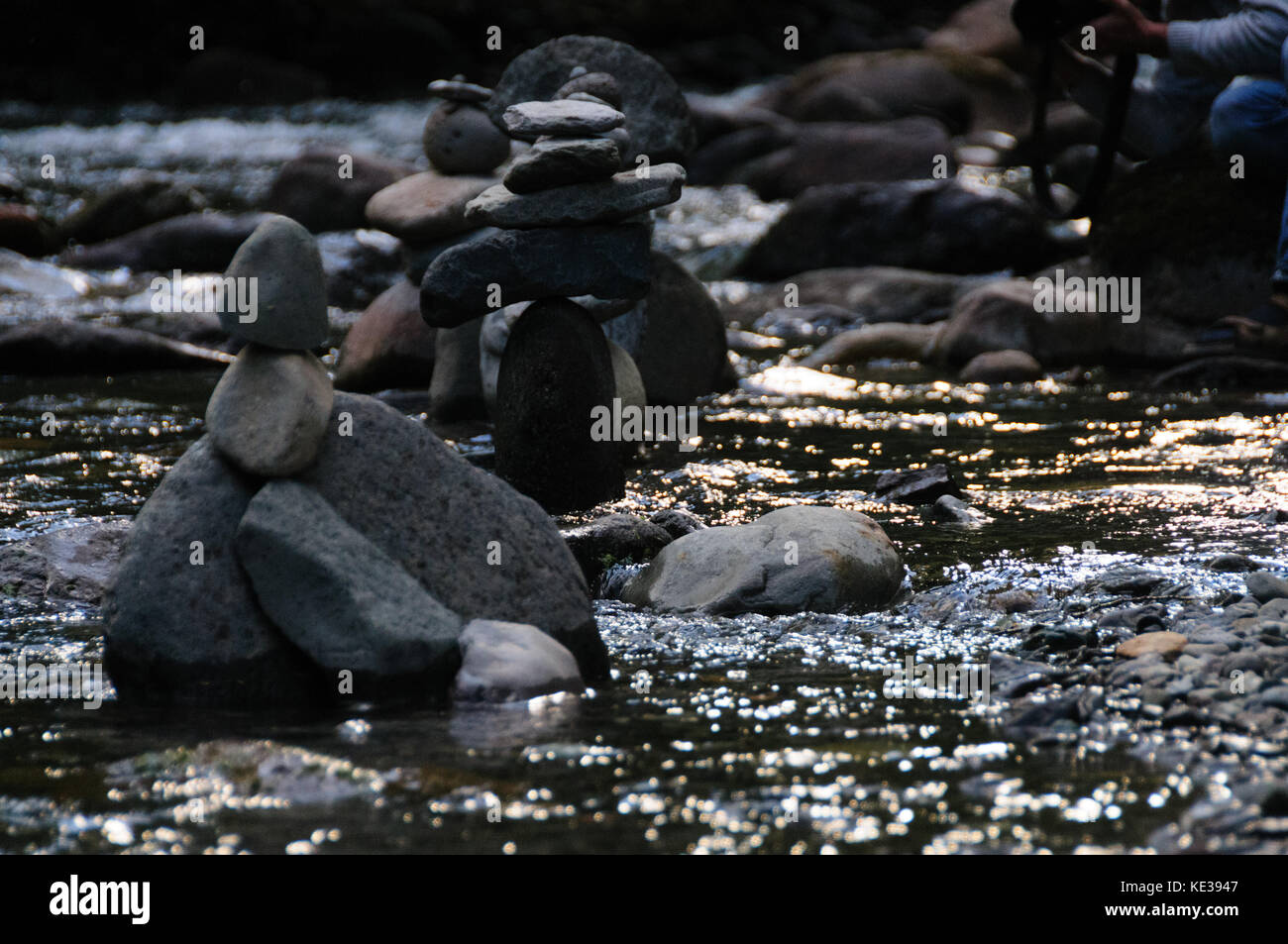 The Cowlitz River Stock Photo - Alamy