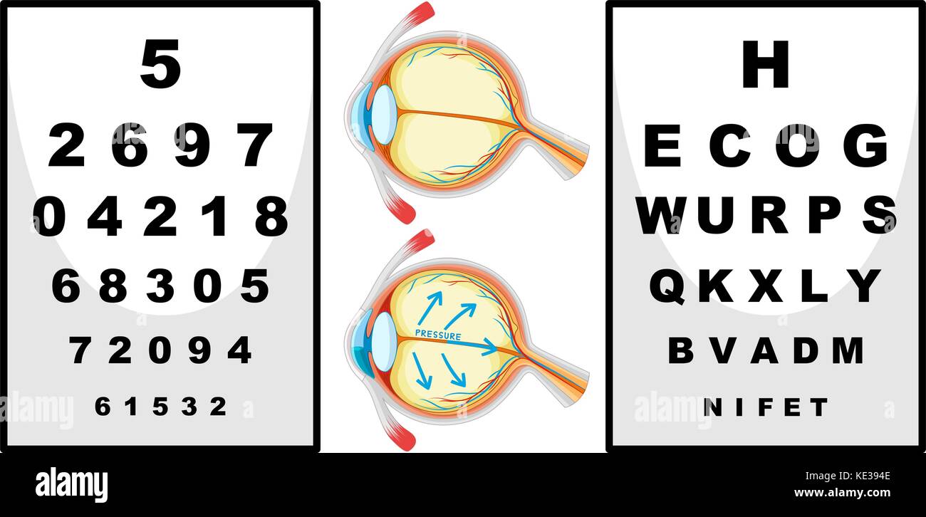 Human eyes and eyes checking boards illustration Stock Vector Image ...