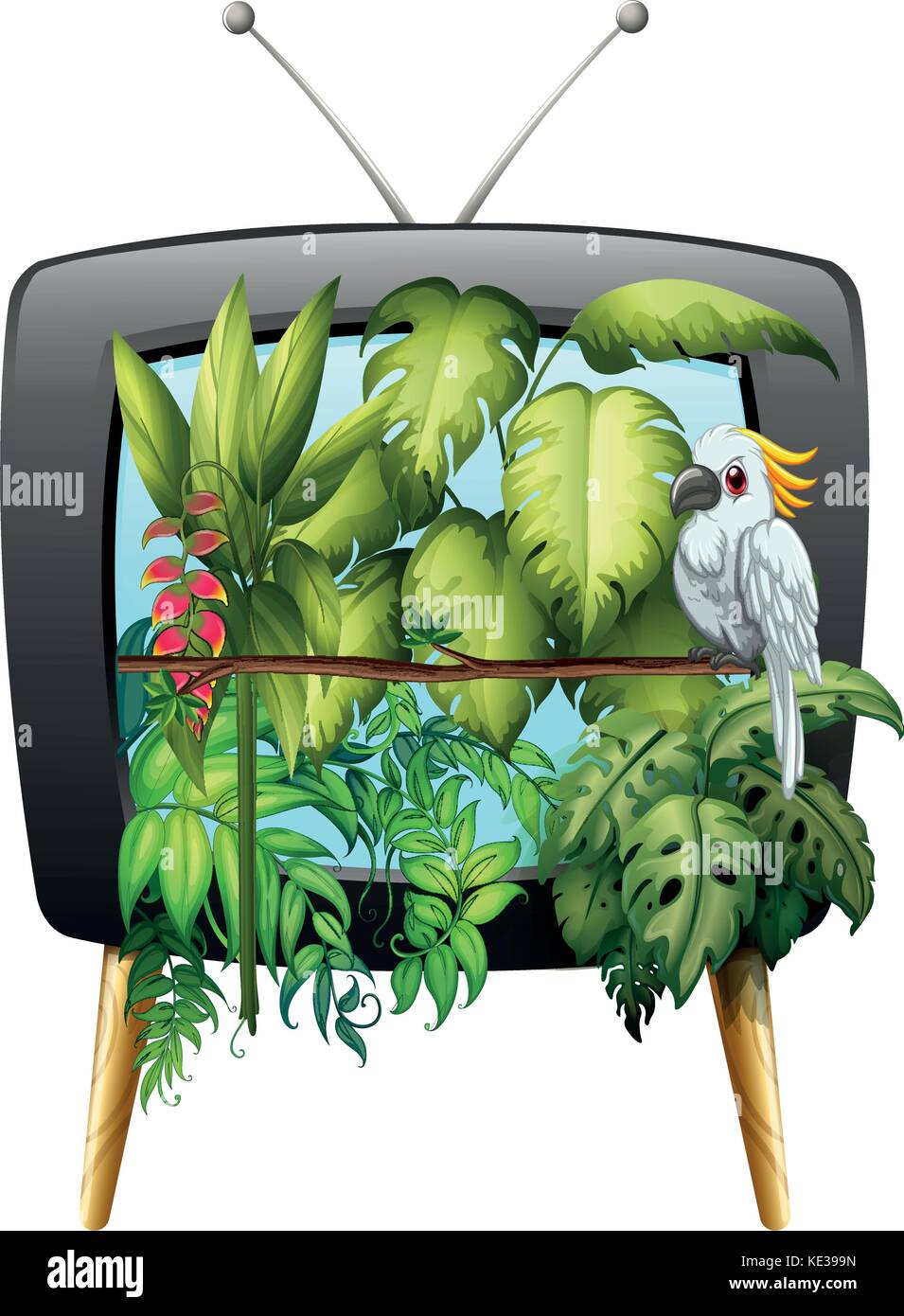 Macaw bird in the jungle illustration Stock Vector Image & Art - Alamy