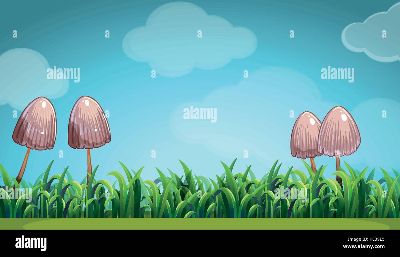 Field mushroom vector vectors hi-res stock photography and images - Alamy