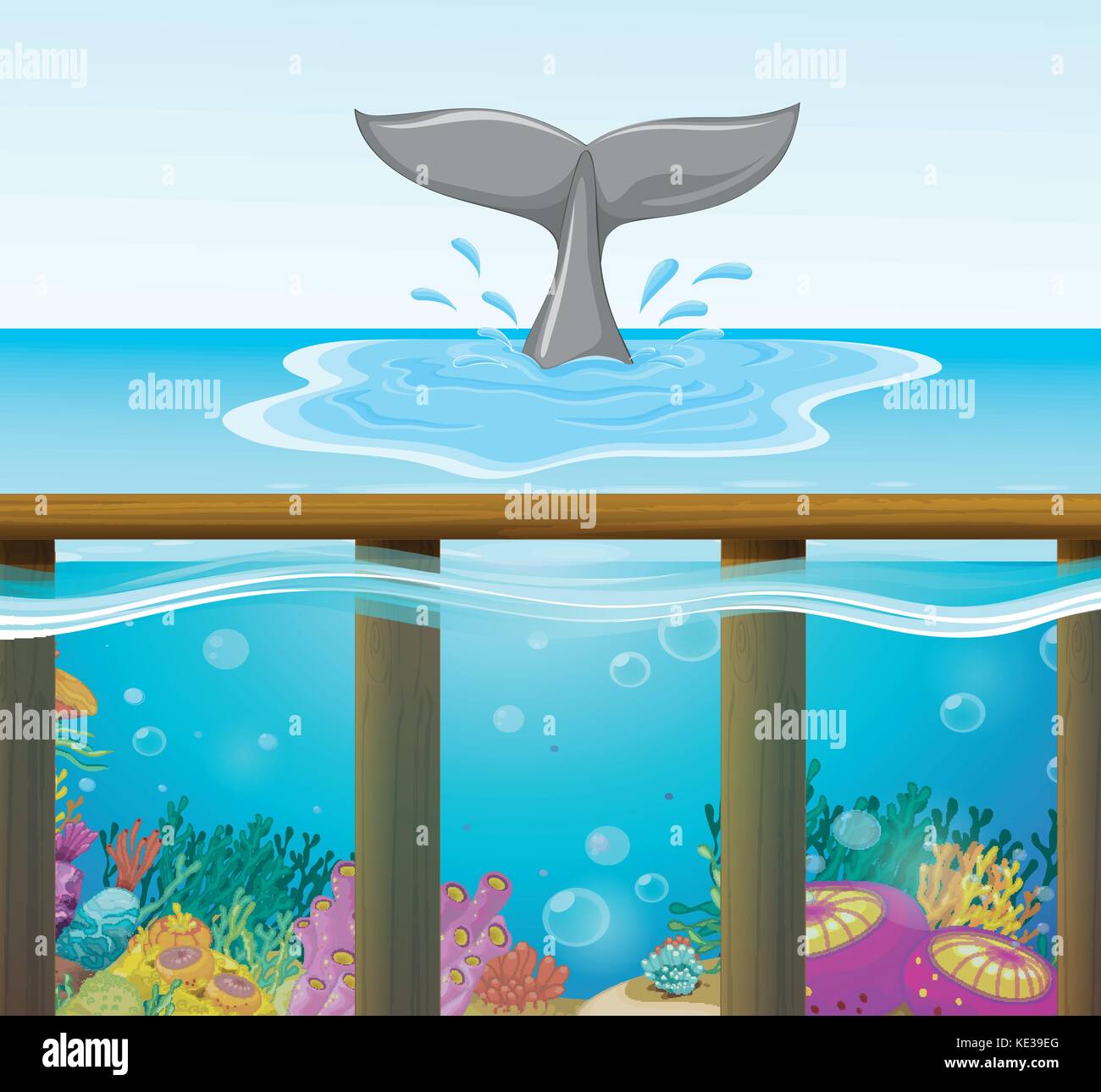 Tail of dolphin Stock Vector Images - Alamy