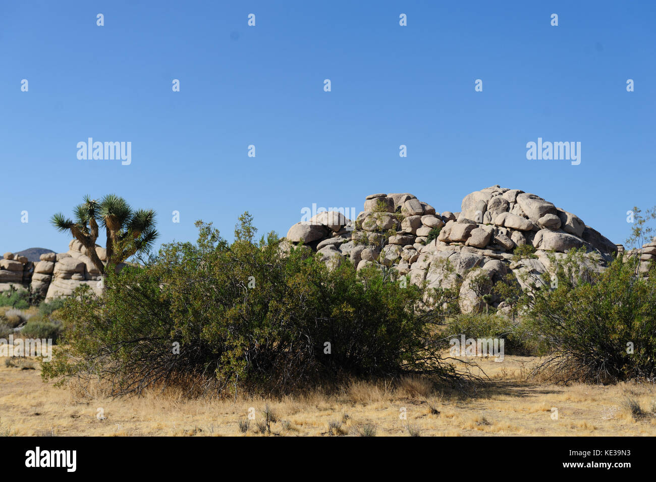Joshua Tree National Park Landscape shot Stock Photo - Alamy
