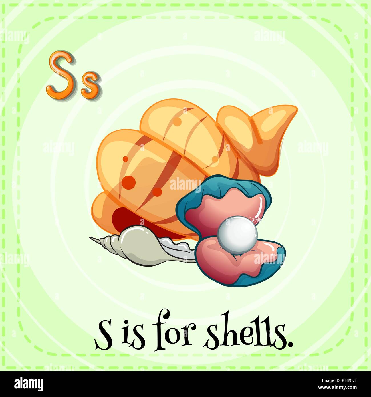 Flashcard letter S is for shells illustration Stock Vector Image & Art ...