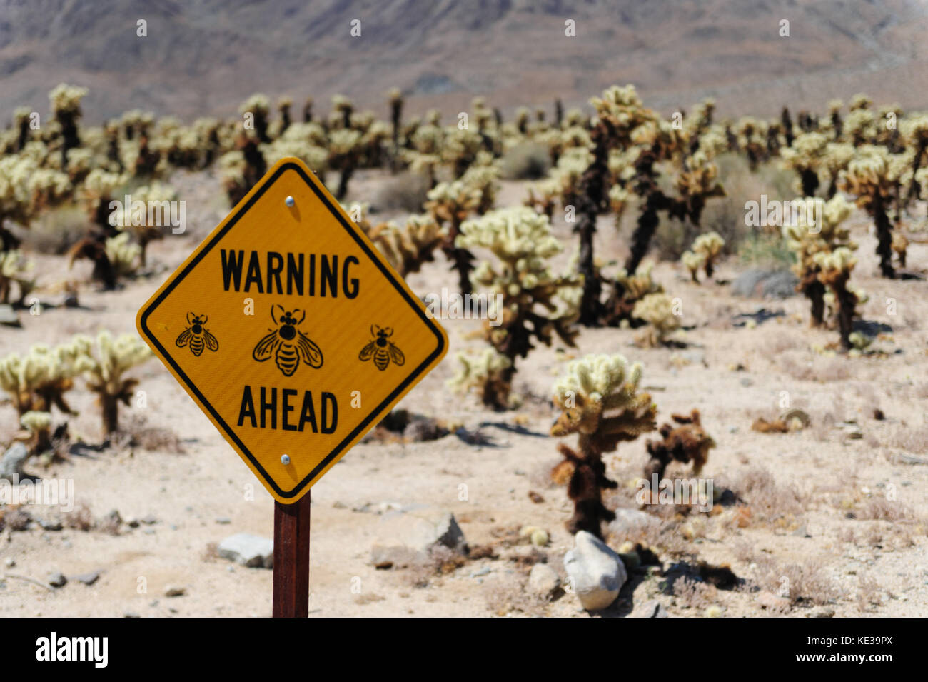 Warning Sign Bees Stock Photos & Warning Sign Bees Stock Images - Alamy