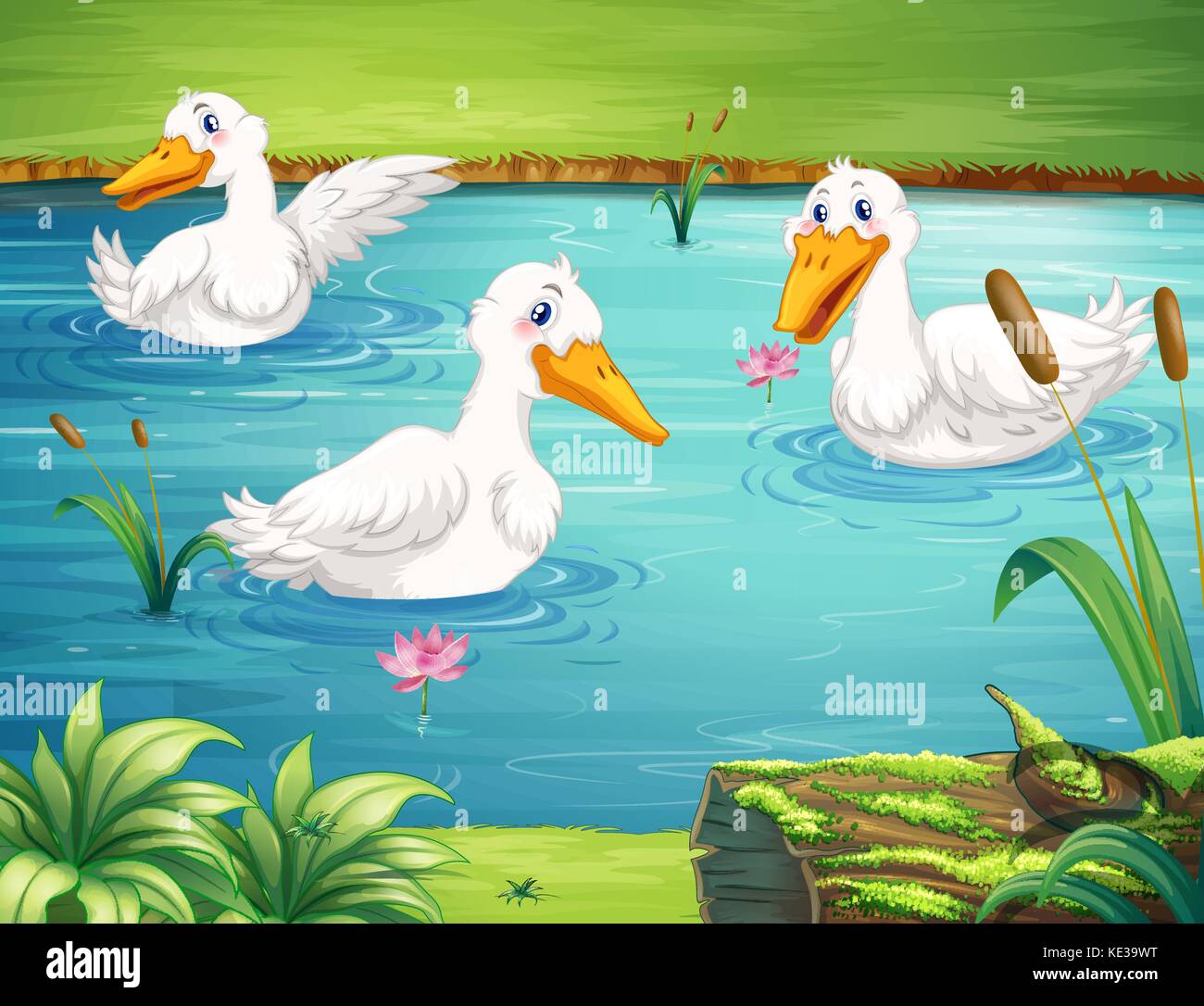 Three ducks swimming in the pond illustration Stock Vector Image & Art - Alamy