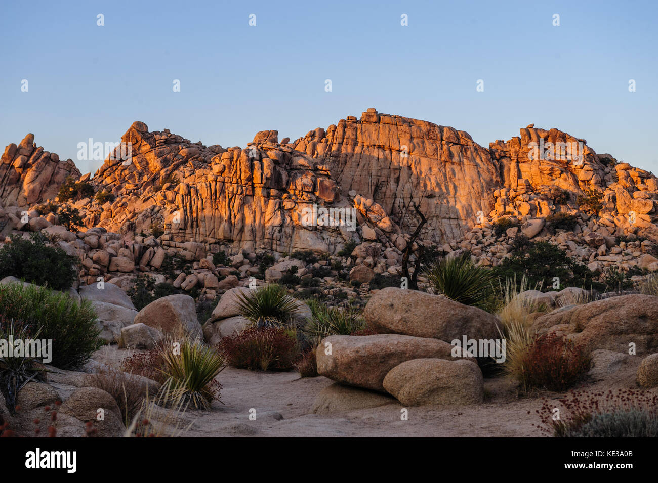The Hidden Vally Area in Johua Tree National Park Stock Photo - Alamy