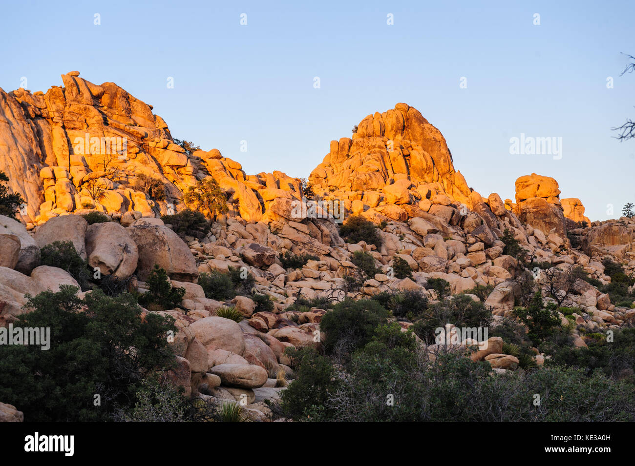 The Hidden Vally Area in Johua Tree National Park Stock Photo - Alamy