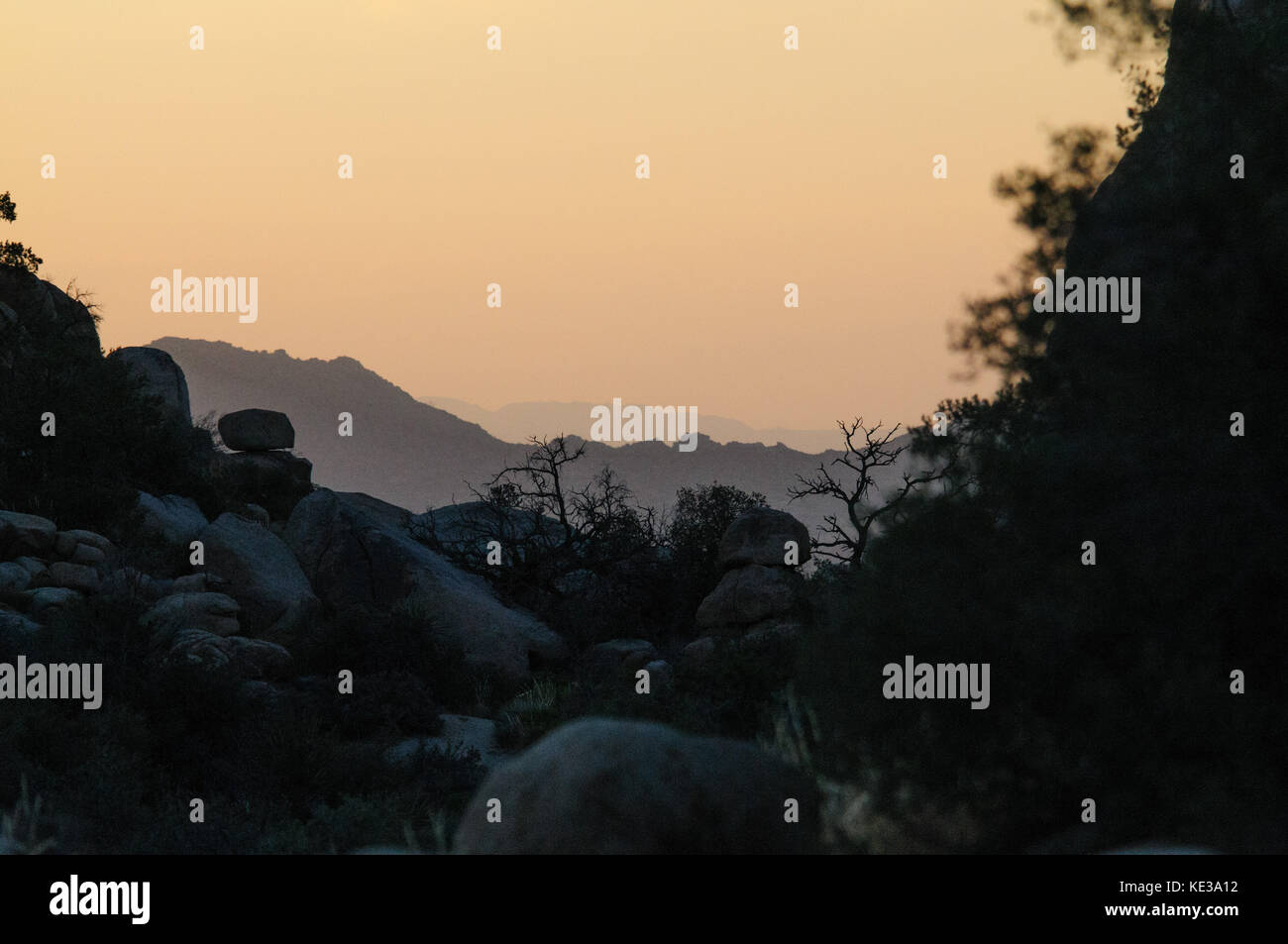 The Hidden Vally Area in Johua Tree National Park Stock Photo - Alamy